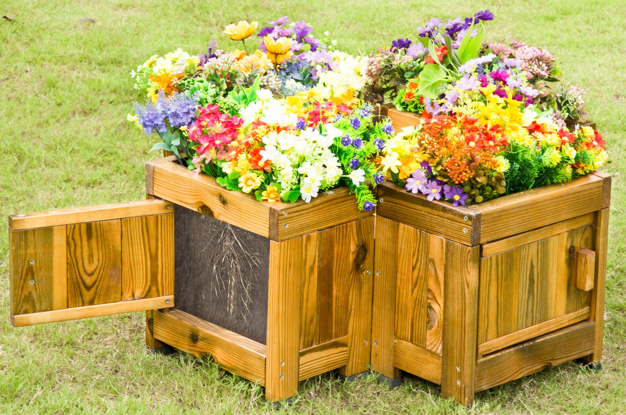 Root Viewing Planter | Educational Toys