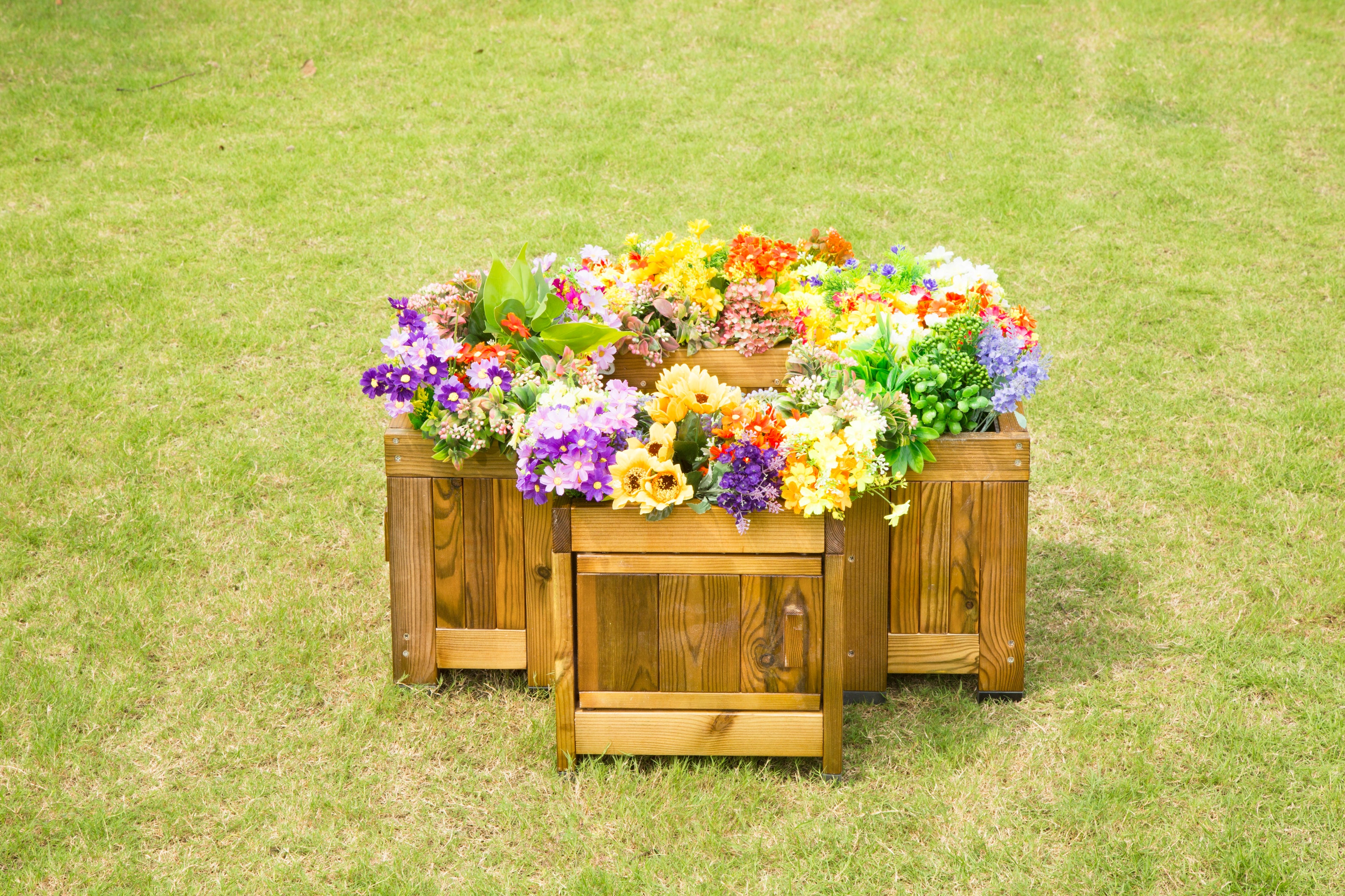 Root Viewing Planter | Educational Toys